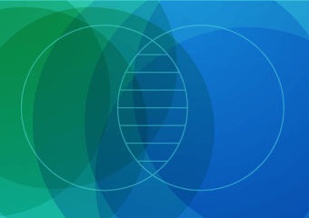 Fusing Specifications and Design for Data Collection Casebooks with ...