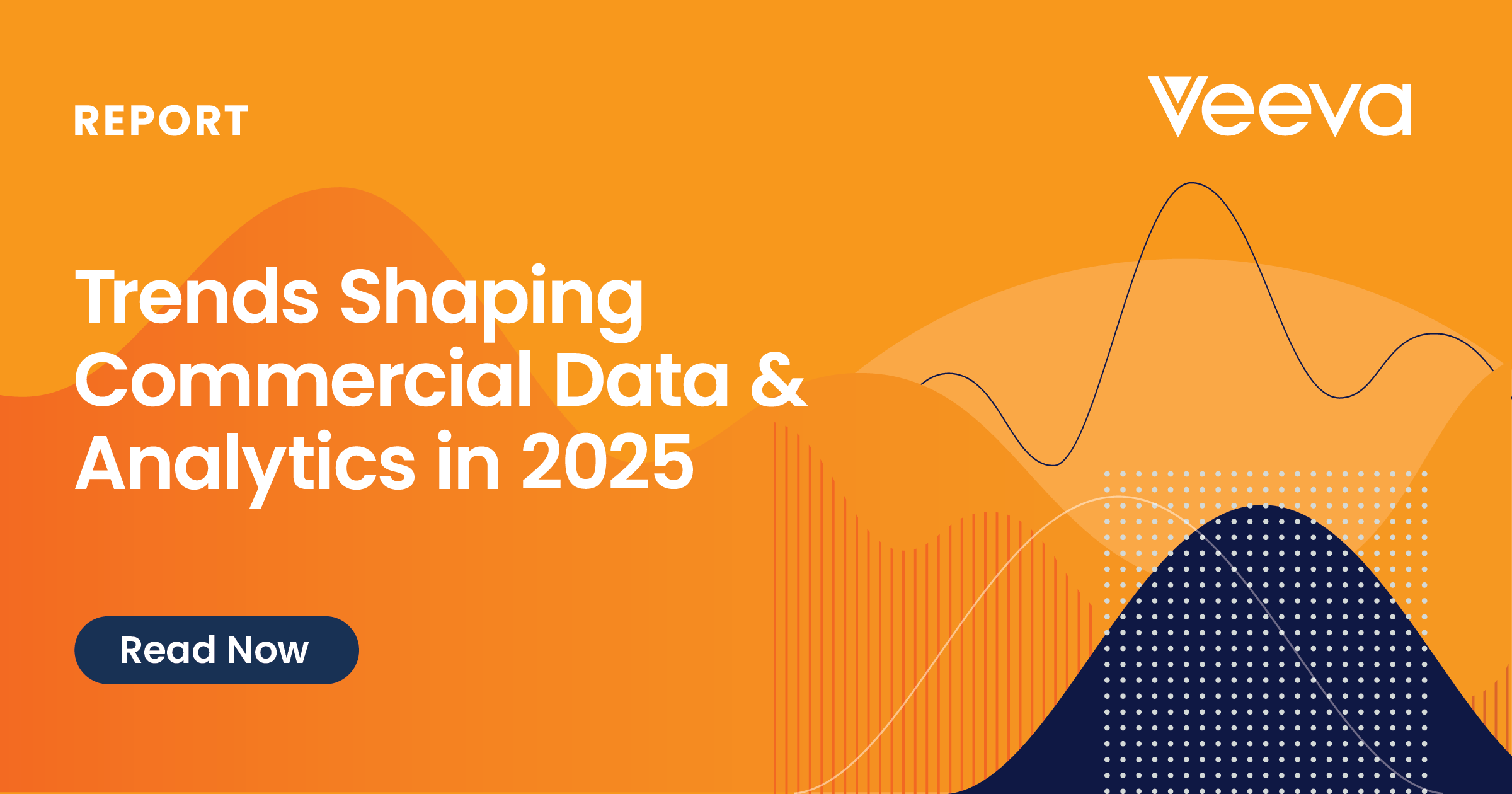 Trends Shaping Commercial Data & Analytics in 2025: Bay Area Forum ...